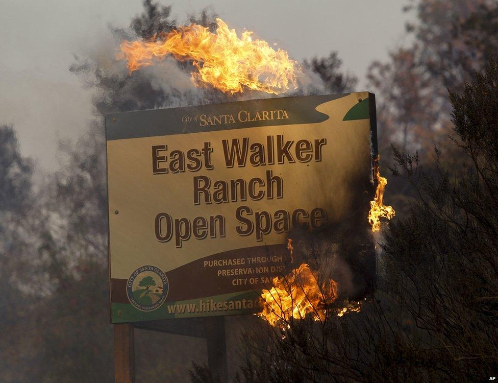 Wildfires: Why they start and how they can be stopped - BBC News