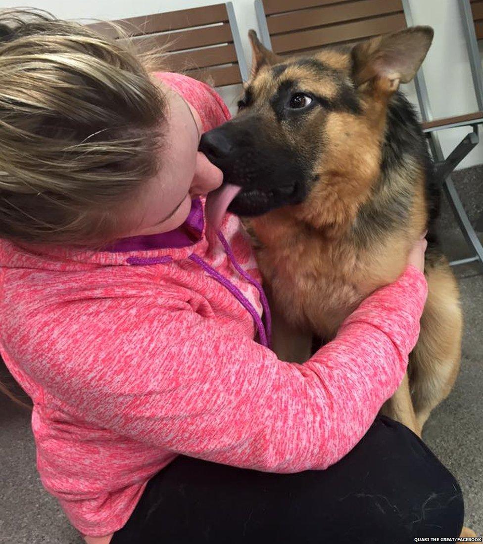 Search to find dog with short spine a new home in America goes viral ...
