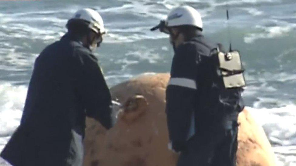Metal ball found on Japanese beach leaves people baffled - BBC Newsround