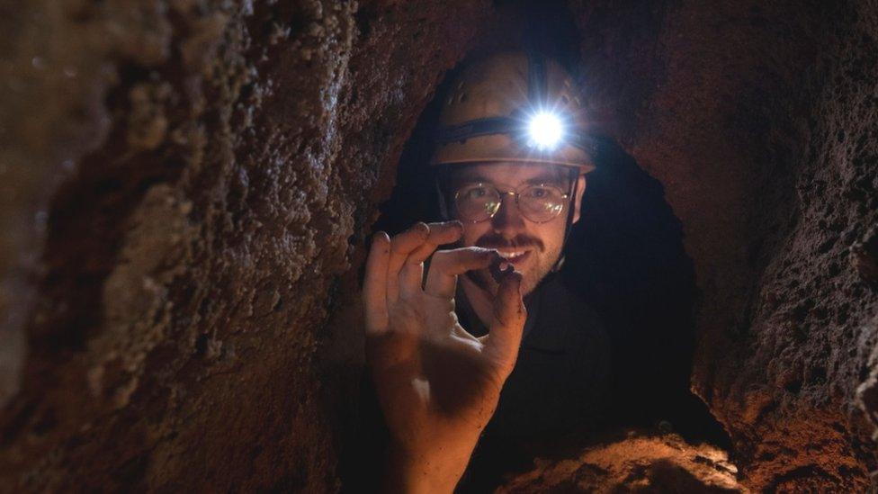 Researchers go to extreme lengths to recover Ice Age kangaroo fossil ...