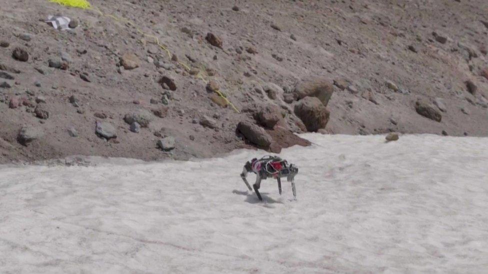 Nasa prepares robot dog for exploring the Moon - BBC Newsround