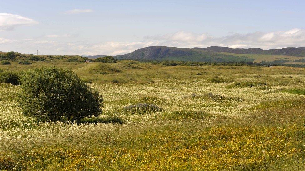 Coul Links golf course inquiry to begin - BBC News
