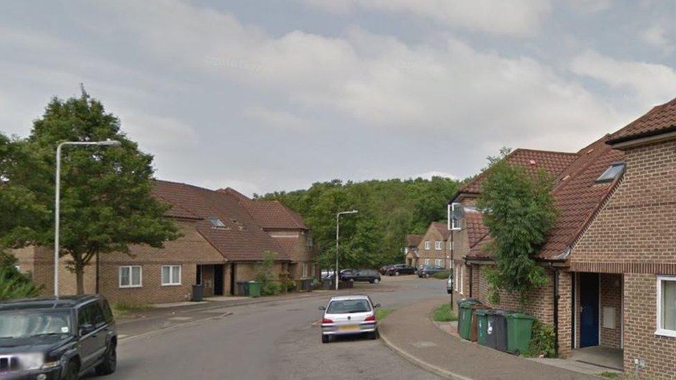 Boy, 16, charged with murder over Chingford stabbing - BBC News