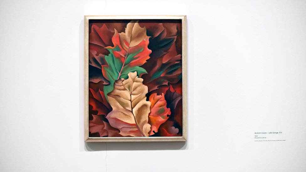 Georgia O'Keeffe's work at Tate Modern - BBC News