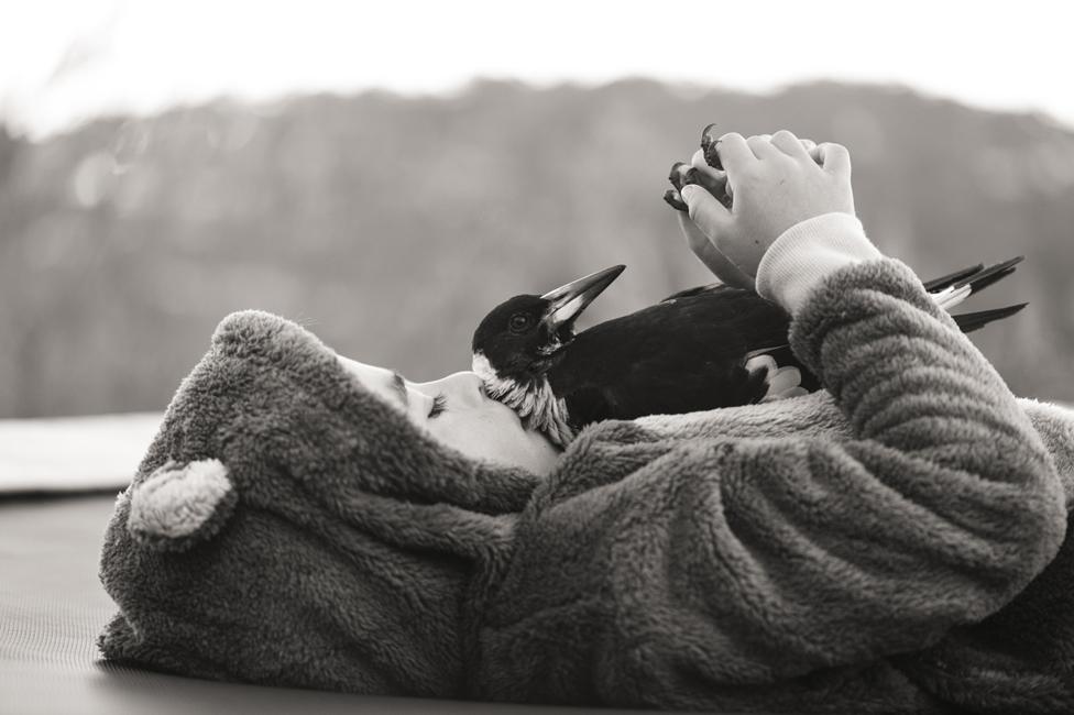 In pictures: The family and the magpie who rescued each other - BBC News