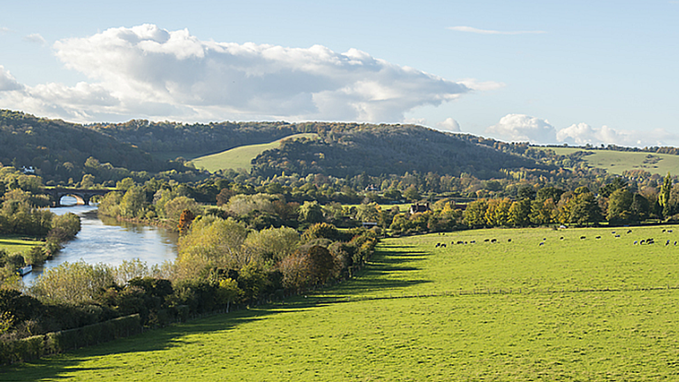 Goring Gap 'ugly scar' railway gantries removal call - BBC News