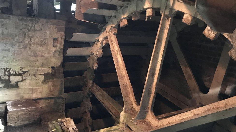 Muntjac deer freed from Moor Mill Beefeater water wheel - BBC News