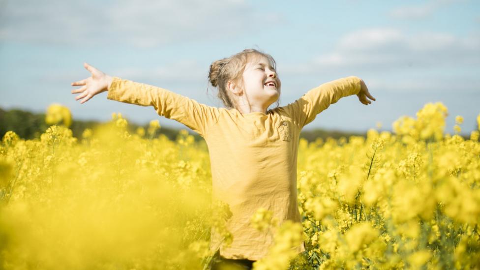 Springwatch 2024: Test your knowledge of spring with our quiz - BBC ...
