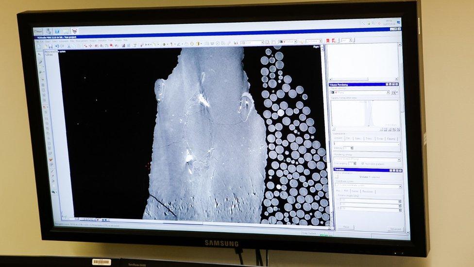 X-rays reveal complete dino skeleton - BBC News