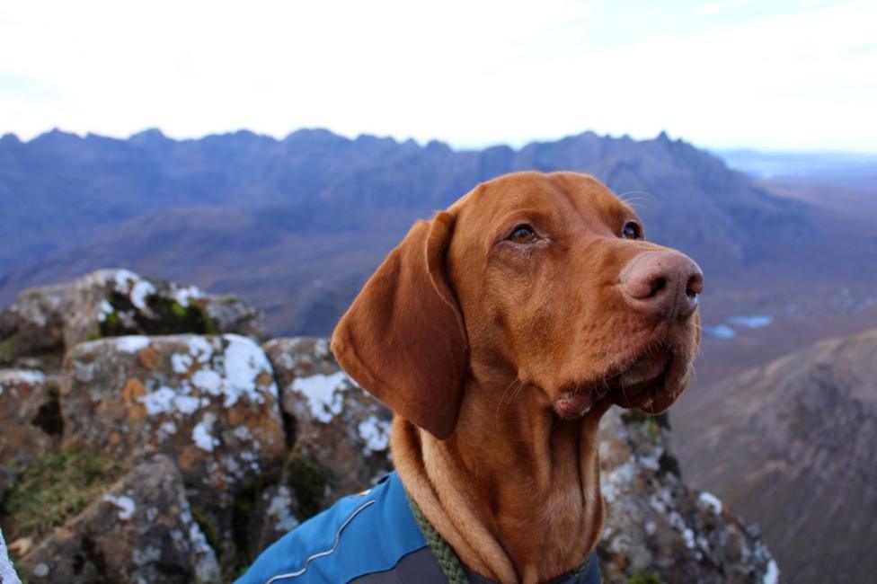Your pictures of Scotland: 21 - 28 October - BBC News