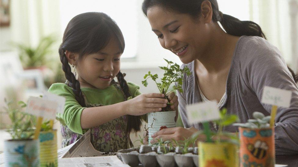 New BBC Let It Grow gardening campaign launched - BBC Newsround