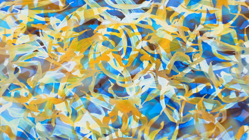 Amazing pictures from the International Garden Photographer of the Year ...