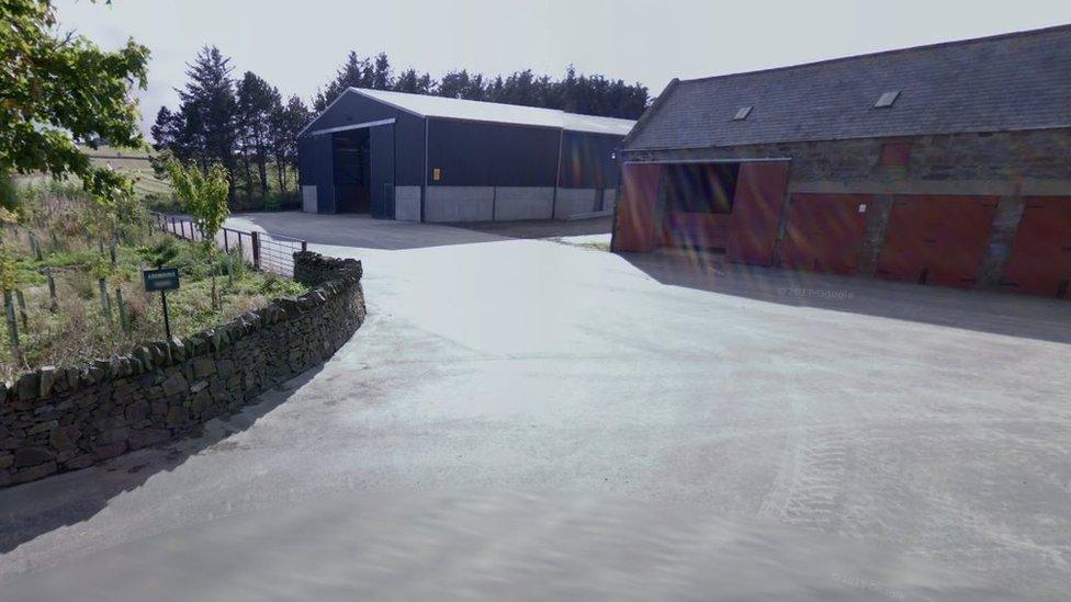 Reason for farmer Bruce Ferguson's fall into grain silo 'unknown' - BBC ...