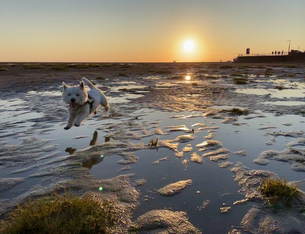 England's Big Picture: 7 August - 13 August 2023 - BBC News