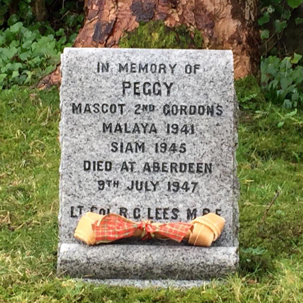 'Heroic' World War Two dog Peggy honoured 73 years after death - BBC News