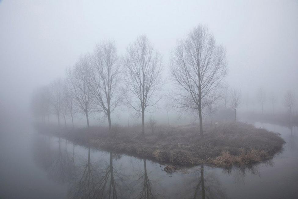 Your pictures on the theme of 'misty mornings' - BBC News