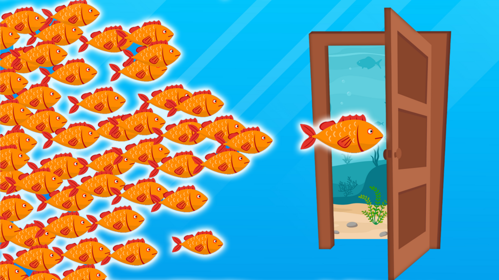 Why do poison frogs love to 'tap dance'? - BBC Newsround