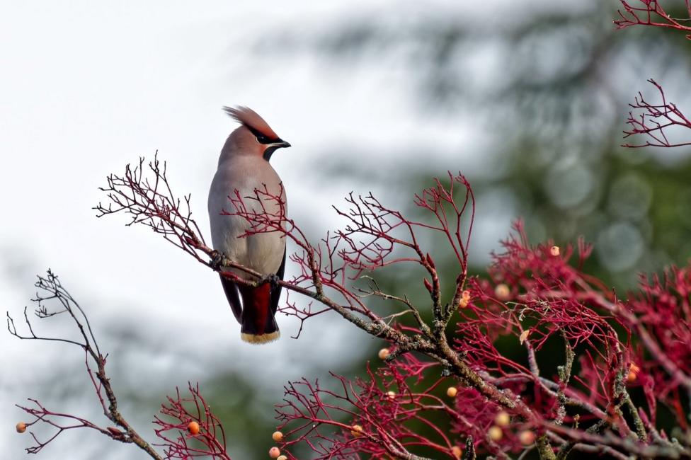 Your pictures of Scotland: 17-24 November - BBC News