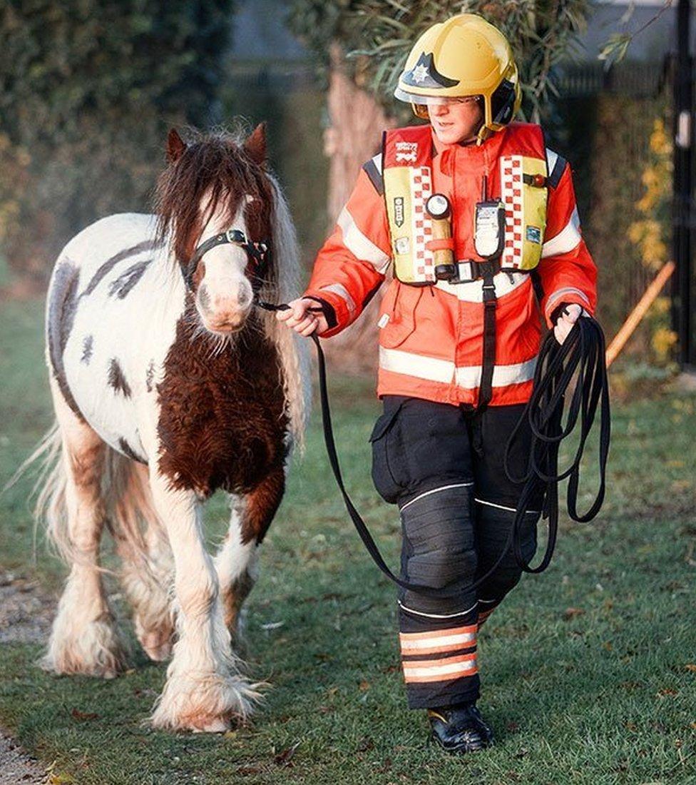 Cambridgeshire fire crews rescue pony trapped in River Cam - BBC News