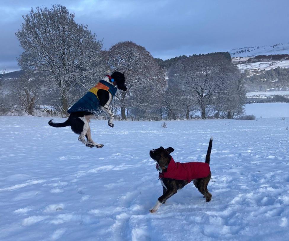 Your pictures of Scotland: 23-30 December - BBC News