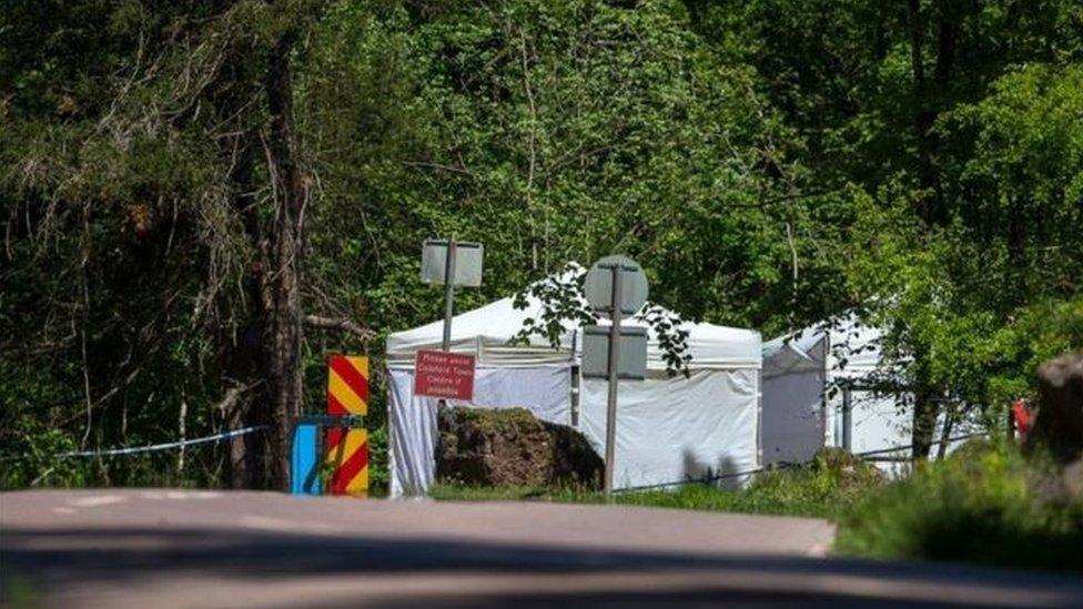 Phoenix Netts: Woman found in suitcases in Forest of Dean named - BBC News