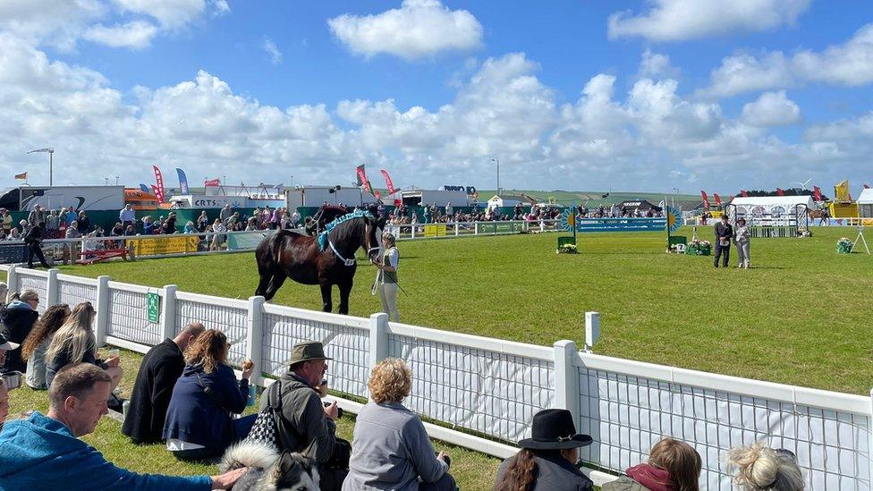 Royal Cornwall Show celebrates final day of event - BBC News