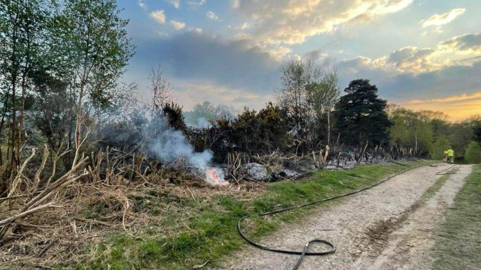 Seven fires break out in open in one day in Hampshire - BBC News
