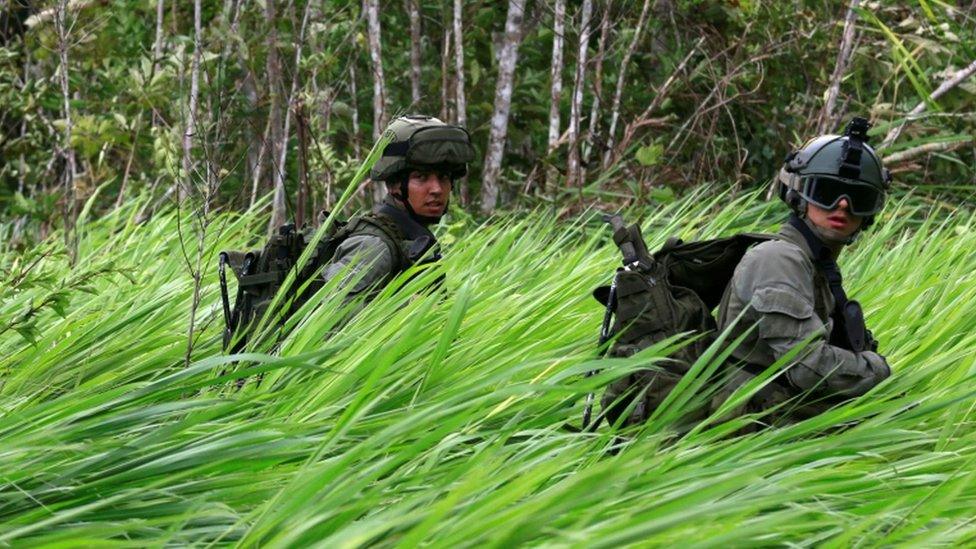 Colombia destroys cocaine labs in jungle region - BBC News