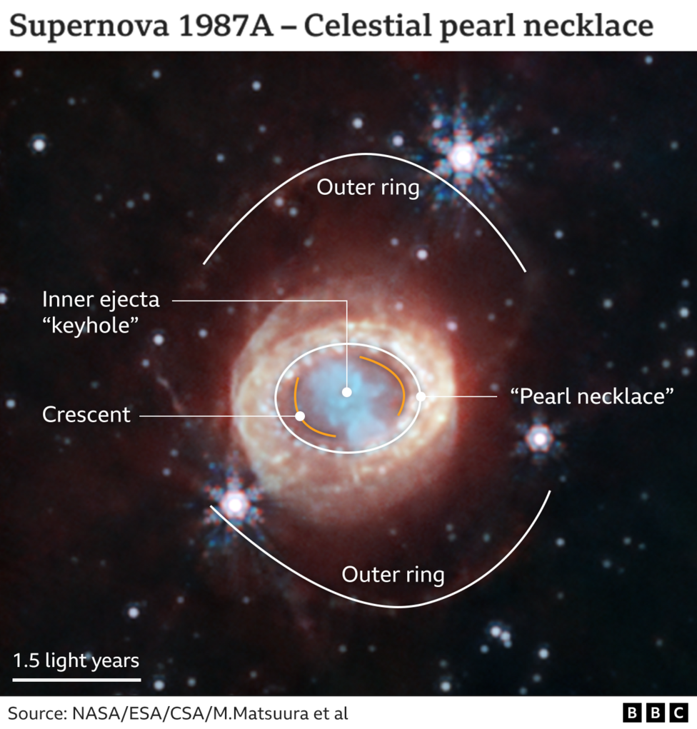 James Webb: Telescope reveals new detail in famous supernova - BBC News