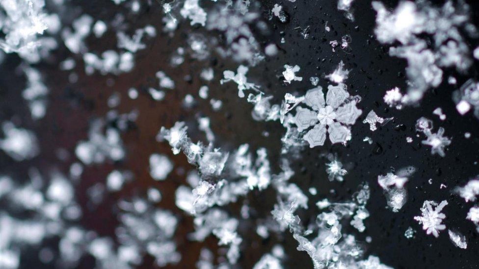 Beautiful snowflakes photographed by BBC Weather Watchers - BBC Weather
