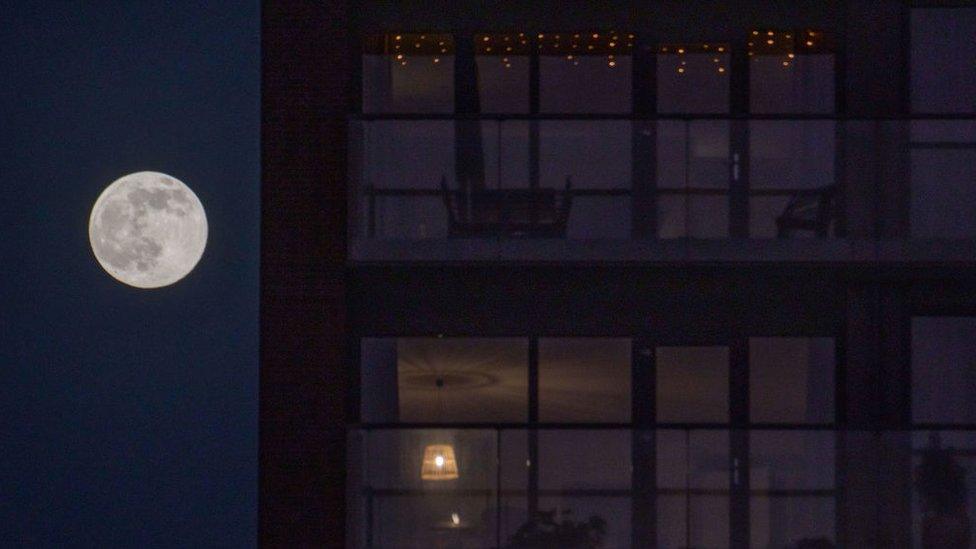 Wolf Moon: Check out the view from around the world - BBC Newsround