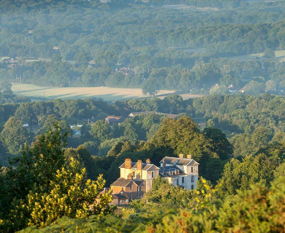 'Lark Ascending' piano goes on show at Leith Hill Place - BBC News