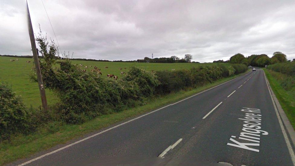 Newborn lambs killed in 'heartless' farm shooting in Basingstoke - BBC News