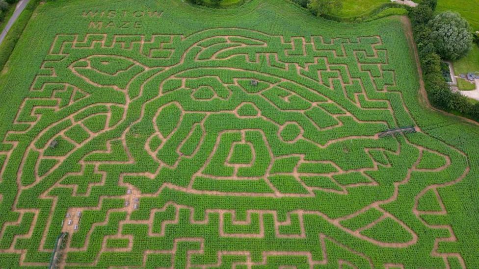 Maze designed to celebrate Katarina Johnson-Thompson - BBC News