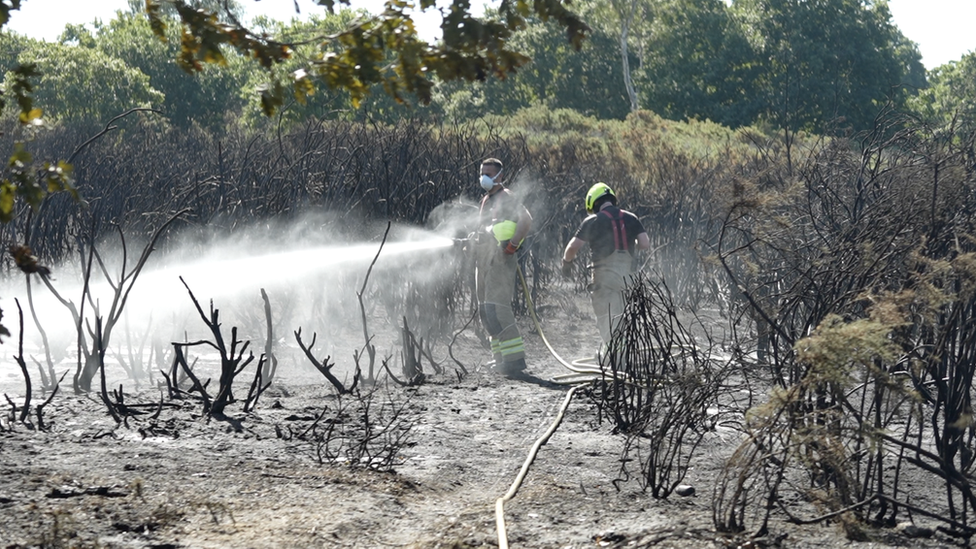 Rushmere Heath: Fire crews monitoring for hot spots - BBC News