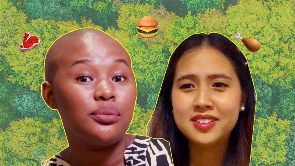 SpaceX: Can meat be grown in space? - BBC News