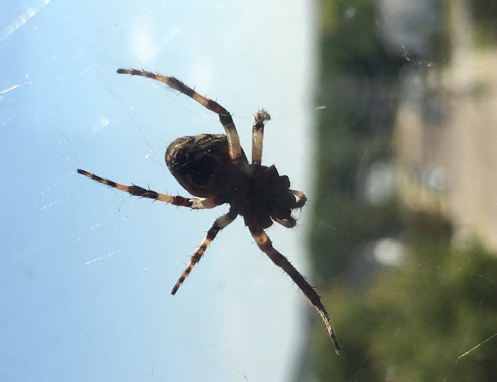 Your pictures on the theme of 'broken' - BBC News