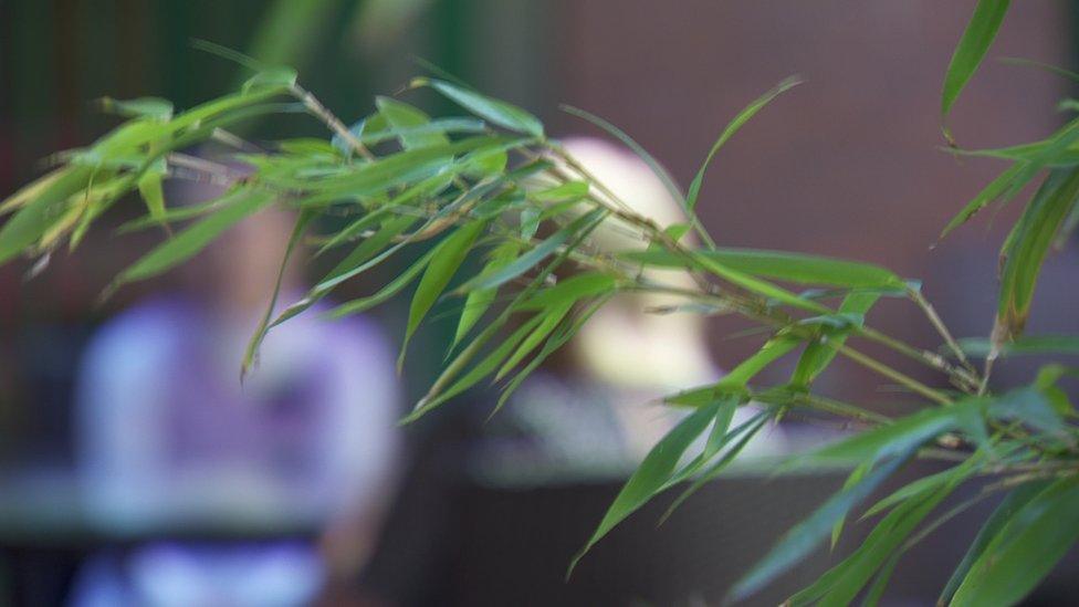 Aaron Sloan: Ex-bar worker gets probation for sexual assault - BBC News