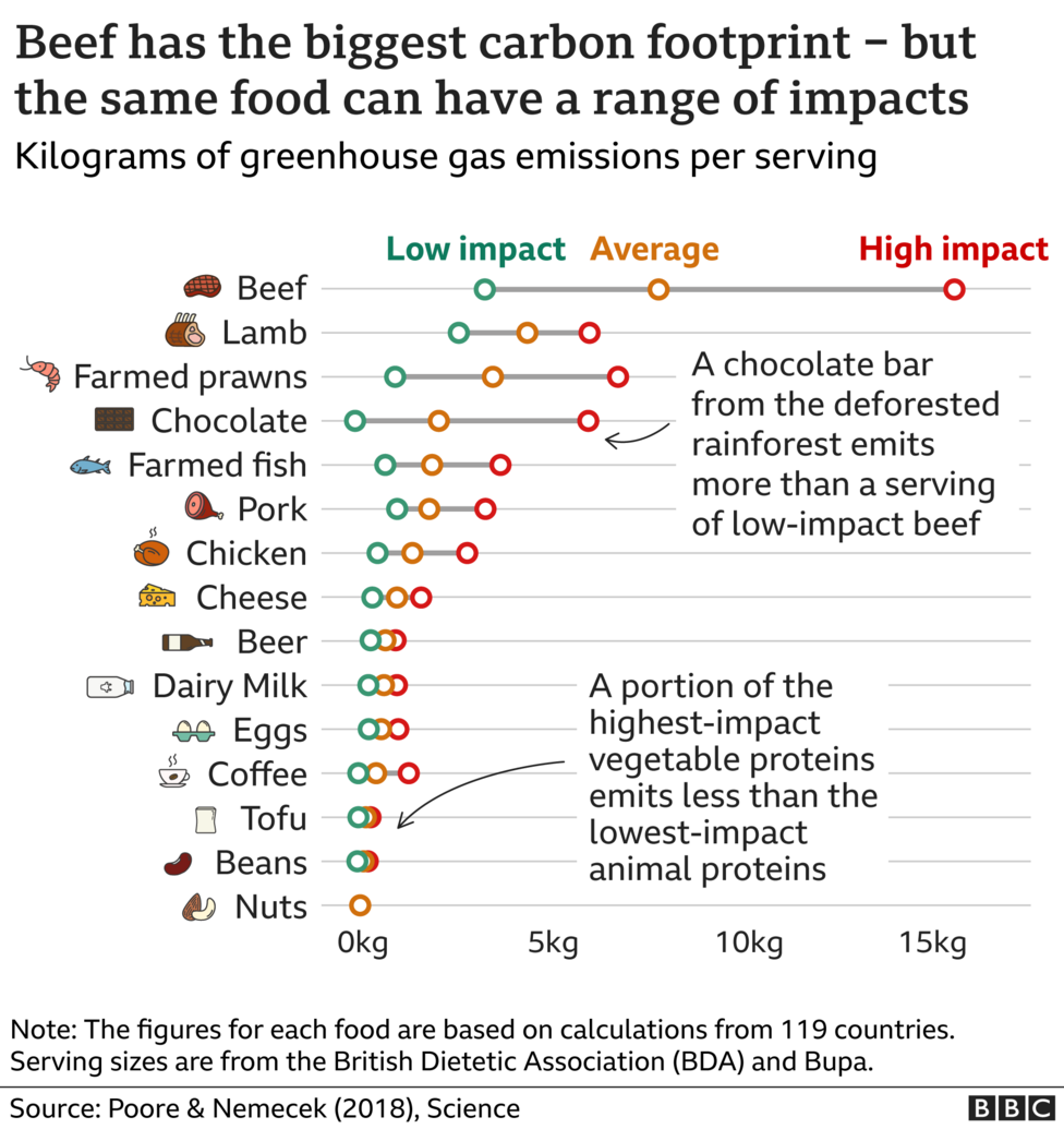 Climate change food calculator: What's your diet's carbon footprint ...