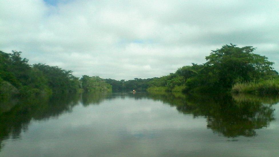 Britons survived in Mexican jungle on peanuts and fish - BBC News