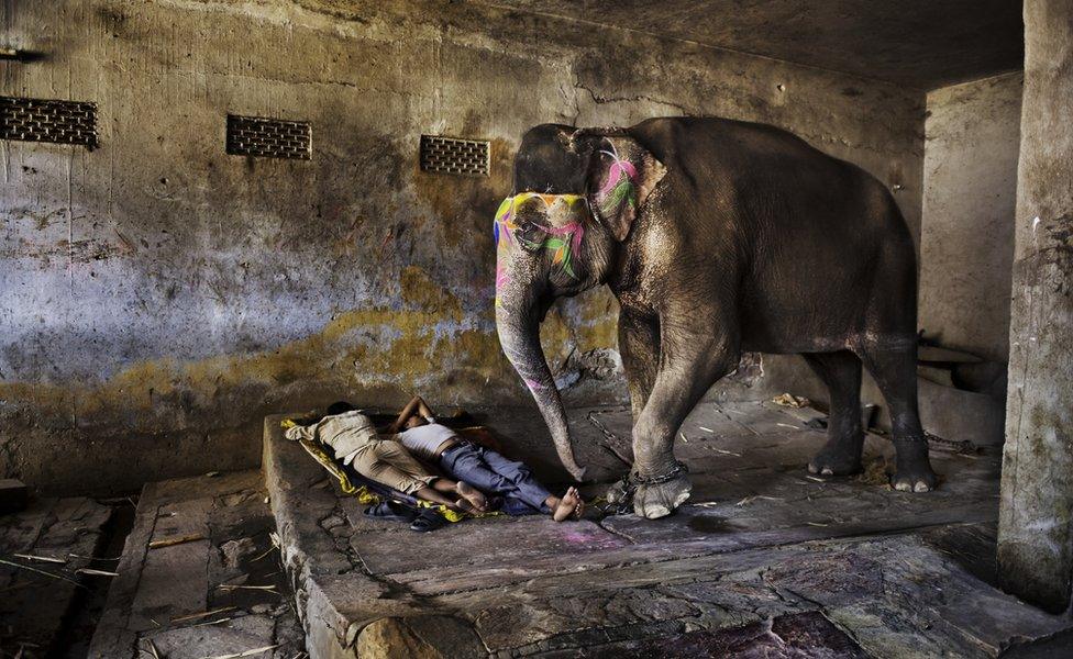 Steve McCurry's portrait of India is a feast for the eyes - BBC News