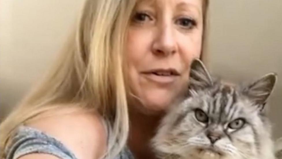 'Unwanted' cat finds home after viral TikTok video - BBC News