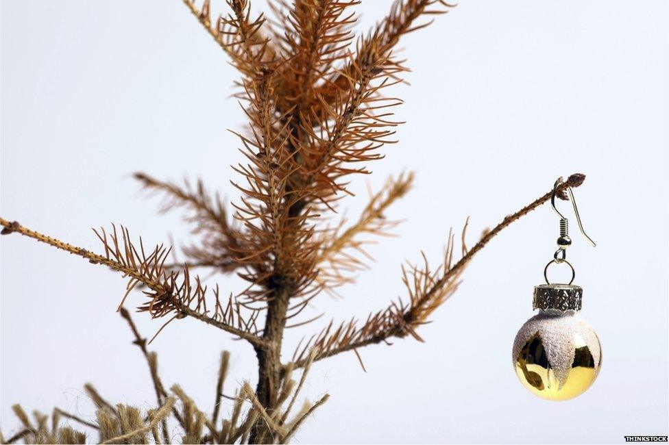 Five top tips (and some others) on what to do with your Christmas tree ...