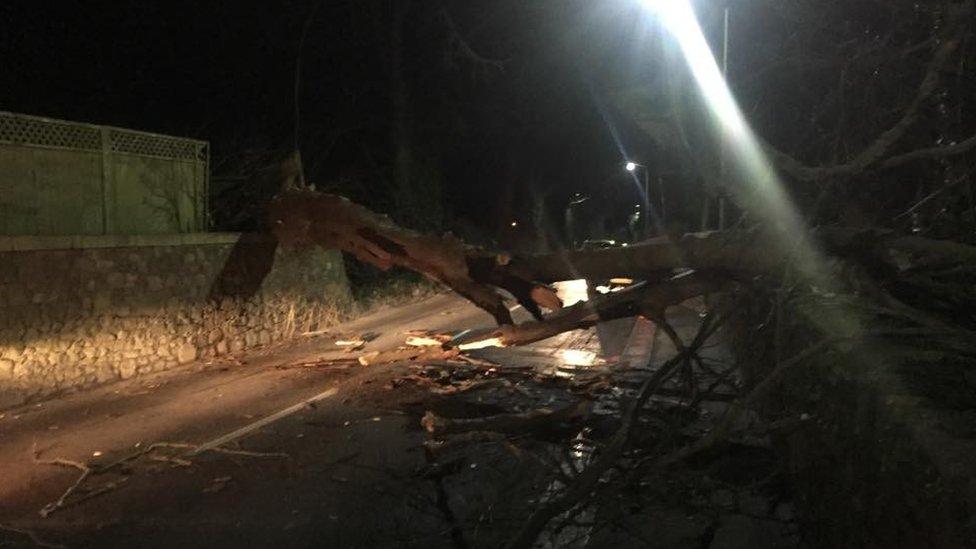 Storm Imogen winds close Channel Island roads and cause flooding - BBC News