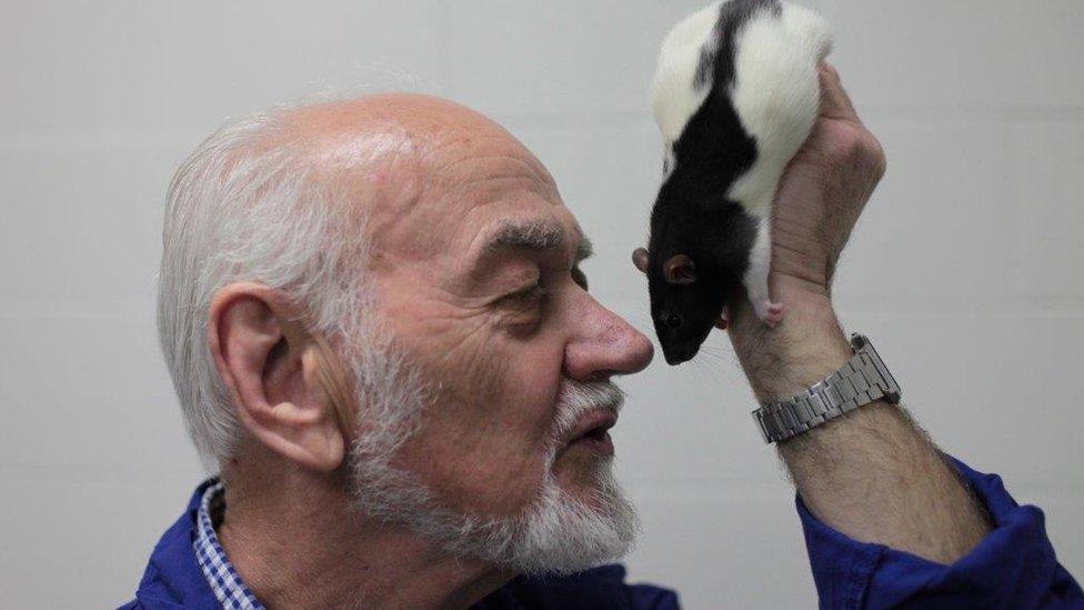 The science of laughter - BBC News