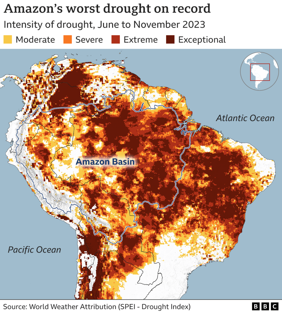 Amazon's record drought driven by climate change - BBC News