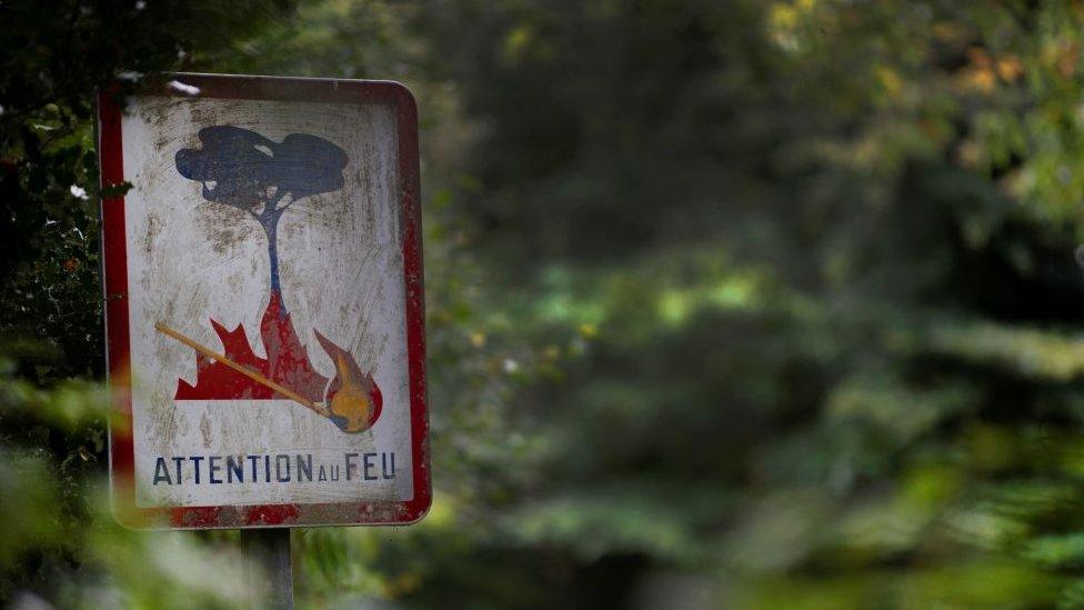 France experiencing worst drought on record - BBC Newsround