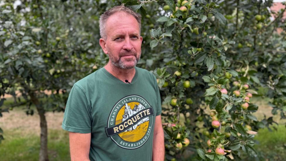 Orchard tours 'essential' to Guernsey cider farm survival - BBC News