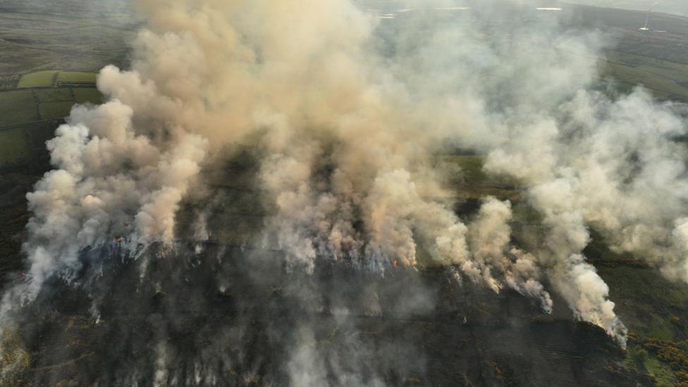 NI wildfires: Fire crews tackle almost 300 incidents in one week - BBC News