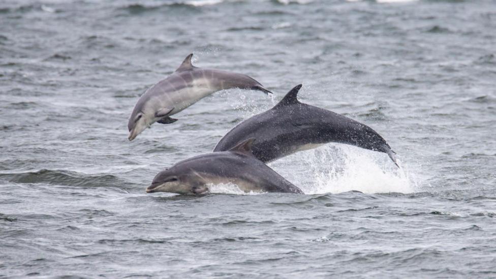 Your pictures of Scotland: Photographs from around the country - BBC News